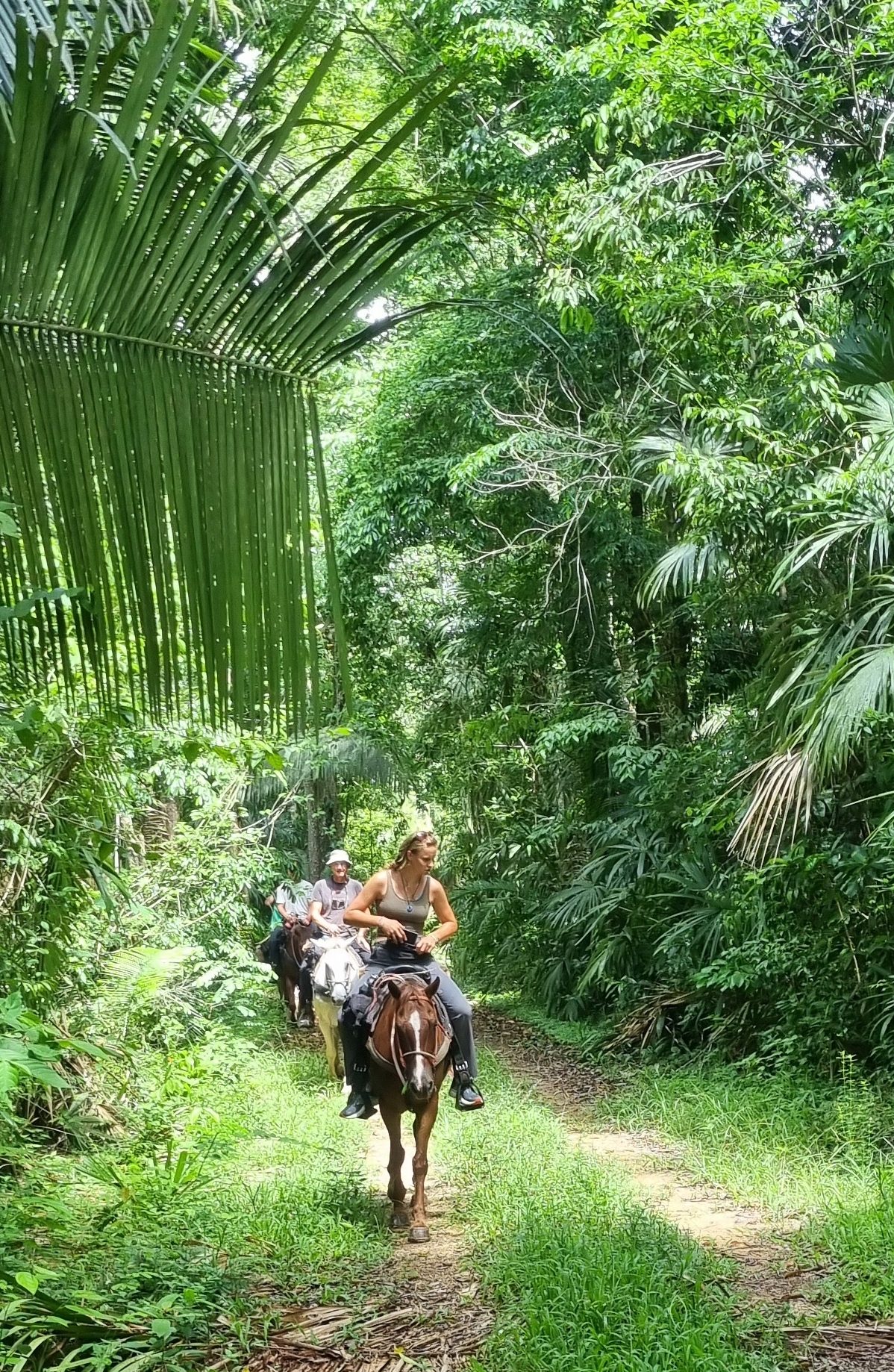 Belize Horseback Riding Jungle Adventures at Mountain Equestrian Trails ...