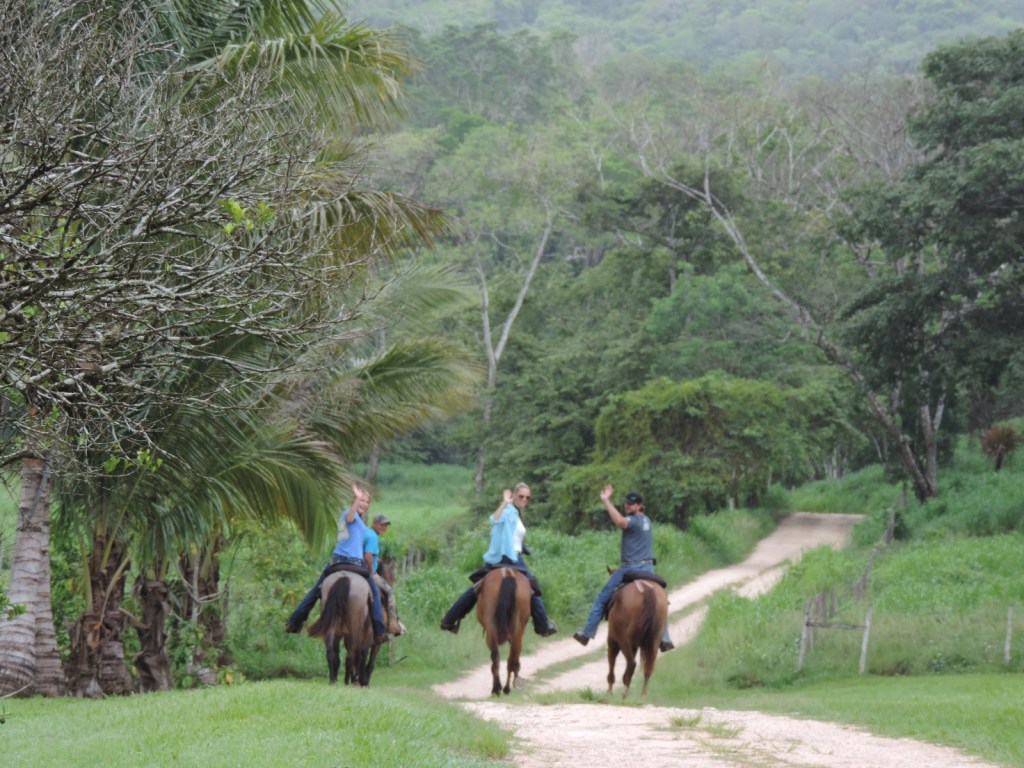Belize Horseback Riding Jungle Adventures at Mountain Equestrian Trails ...