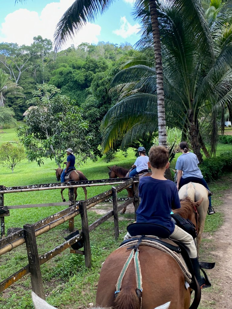 Belize Horseback Riding Jungle Adventures at Mountain Equestrian Trails ...