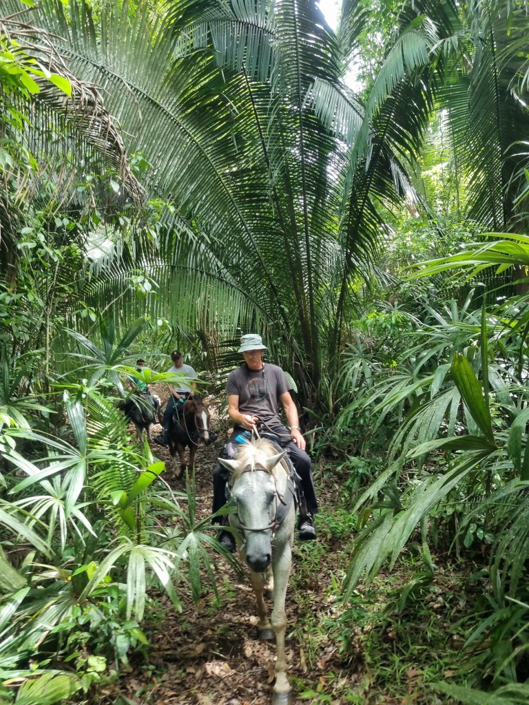 Belize Horseback Riding Jungle Adventures at Mountain Equestrian Trails ...