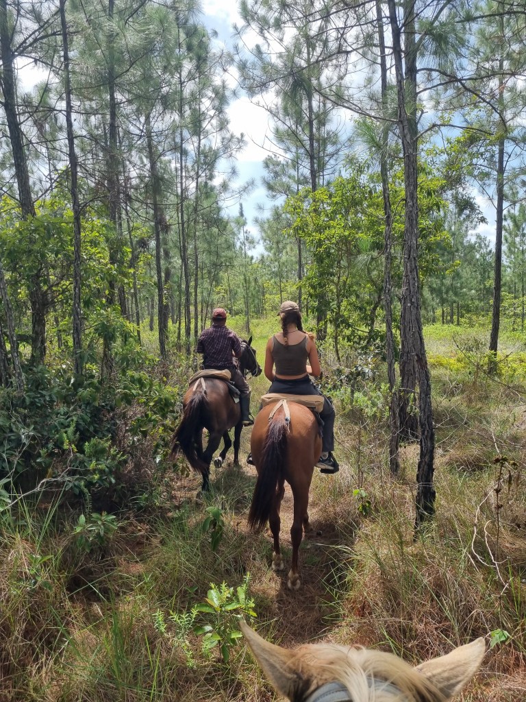 Belize Horseback Riding Jungle Adventures at Mountain Equestrian Trails ...